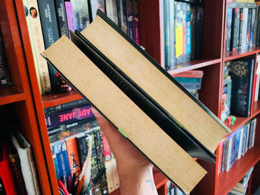 ¿Qué es el foxing y cómo proteger tus libros favoritos? – Librolandia